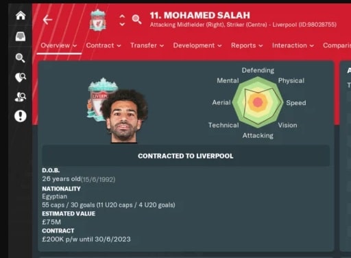 Football Manager 2023: Como instalar Face Packs e Skins | RealGaming101.pt